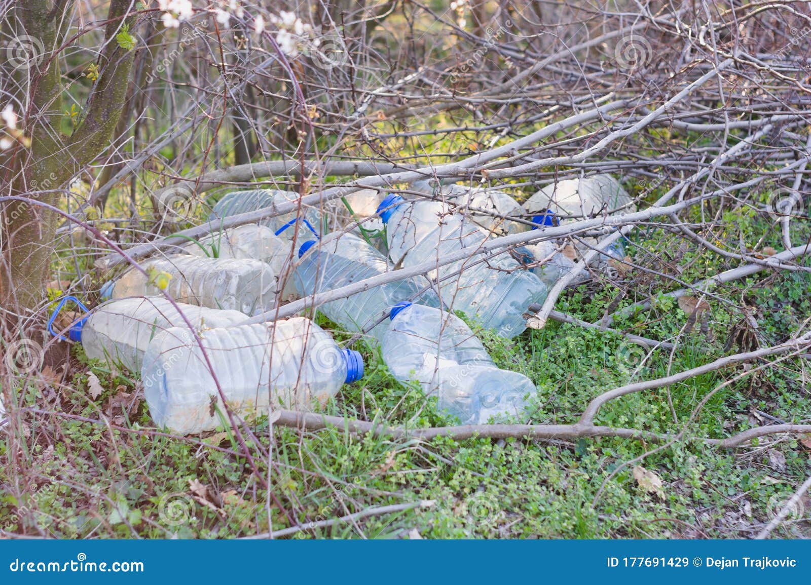 Pollution with Plastic in the Forest Stock Image - Image of particles ...