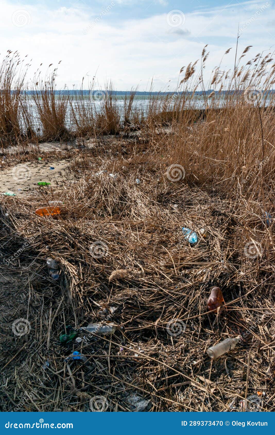 Pollution with Plastic Waste and Microplastics on the Shore of the ...