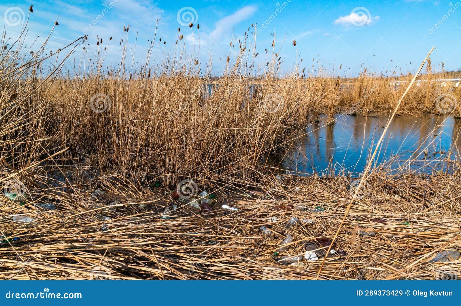 Pollution with Plastic Waste and Microplastics on the Shore of the ...