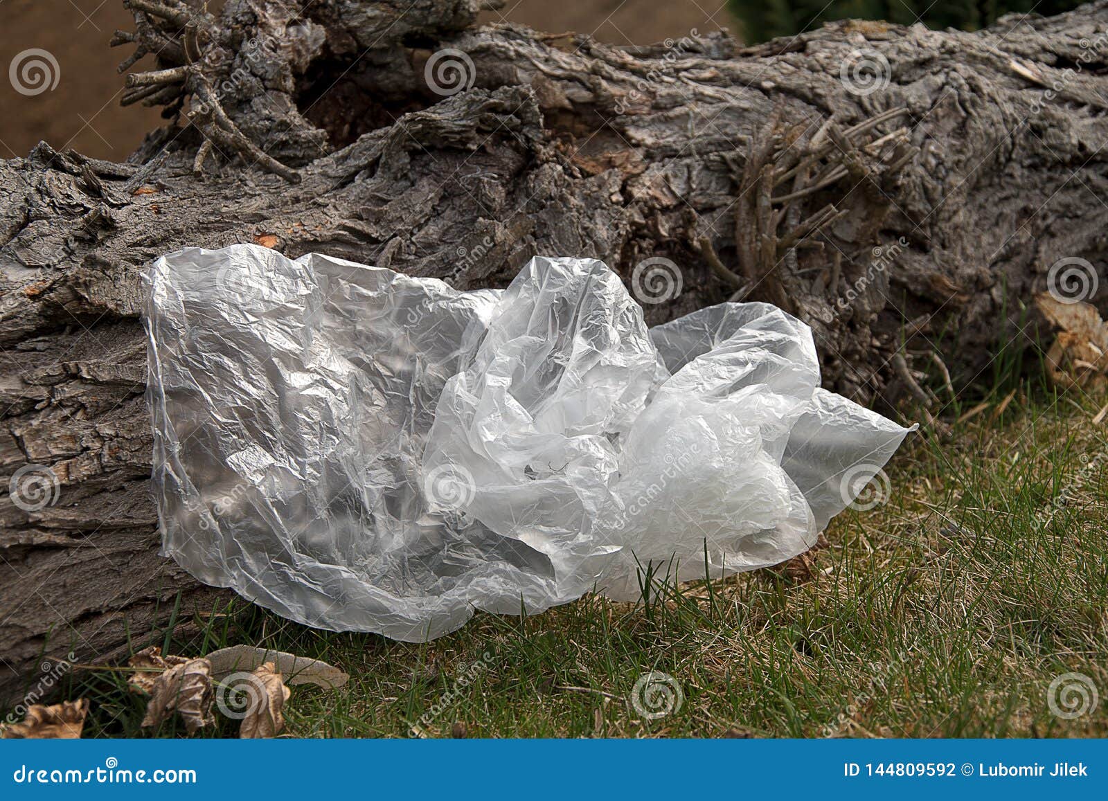 Pollution of Plastics on the Planet. Plastic Bags Flying Over the ...