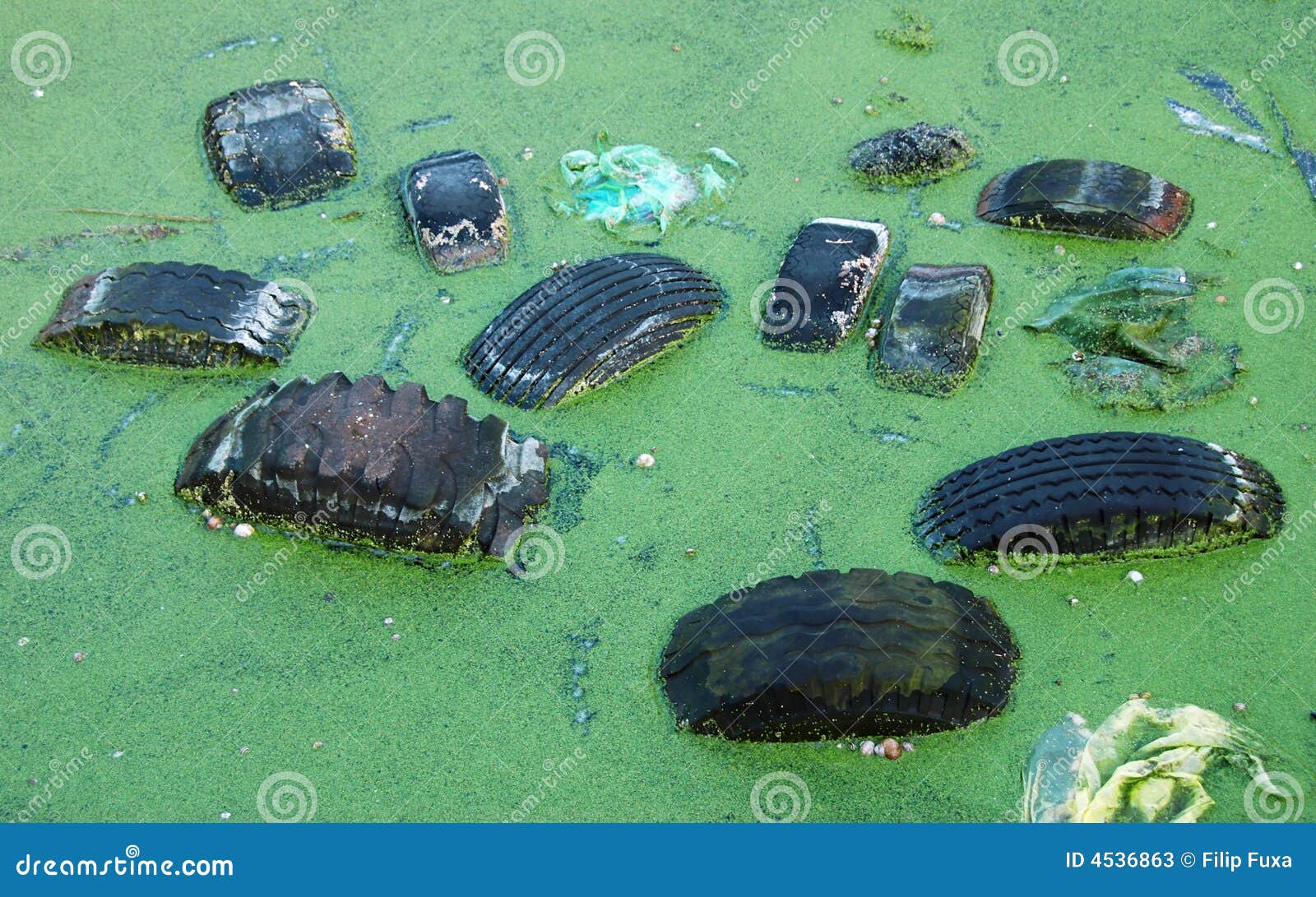 Pollution in pond stock image. Image of dump, polluted - 4536863