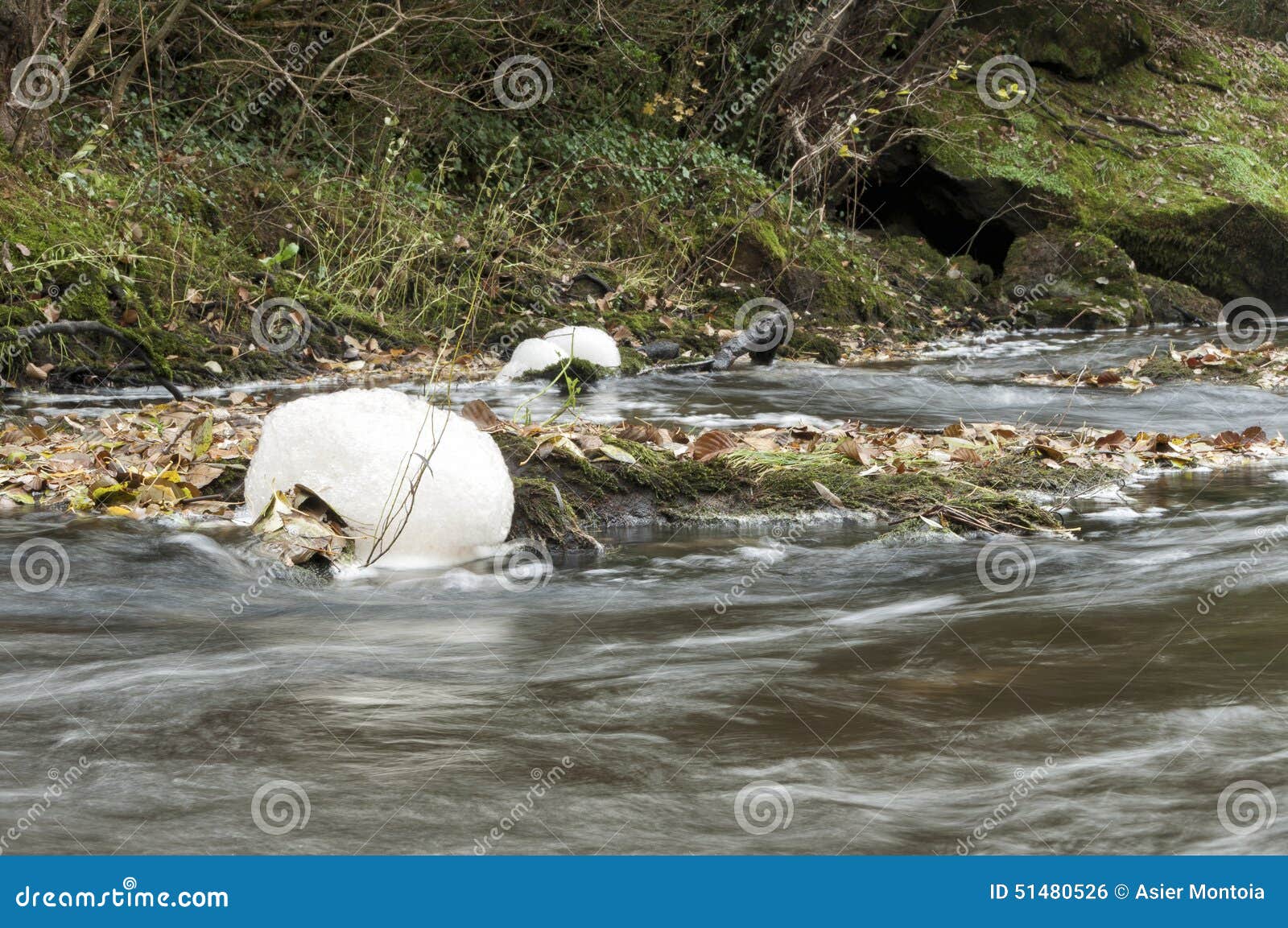 Pollution in the river stock photo. Image of stream, water - 51480526