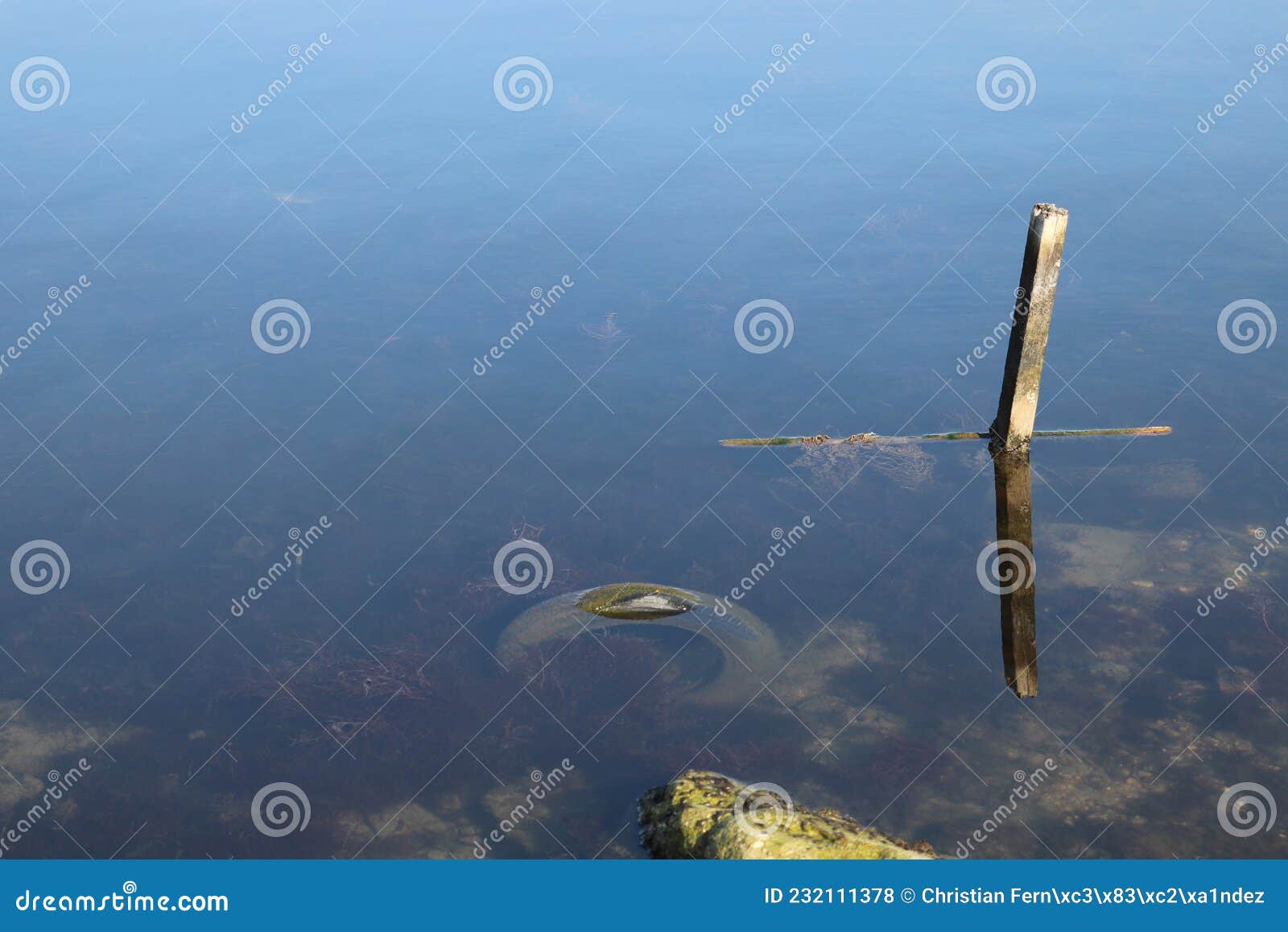 Pollution in the Sea, Contaminated Water Stock Photo - Image of rock ...