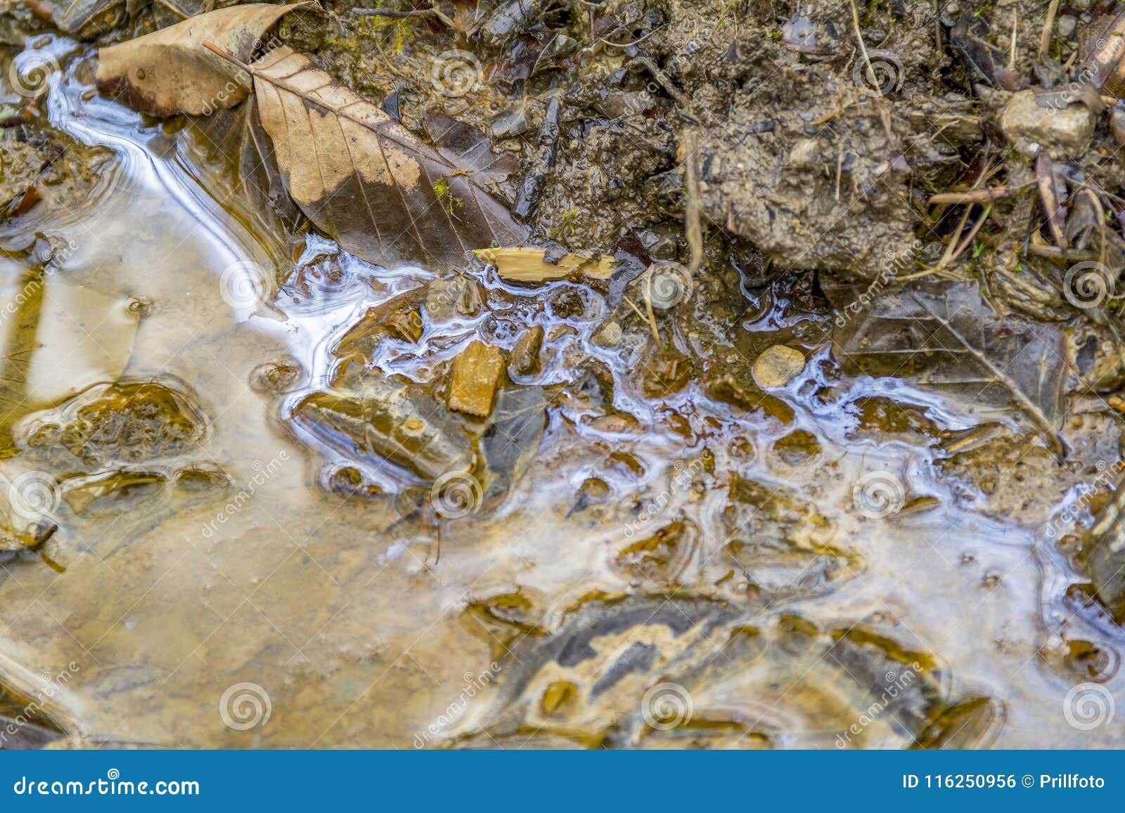 Contaminated ground stock photo. Image of damage, fluxion - 116250956