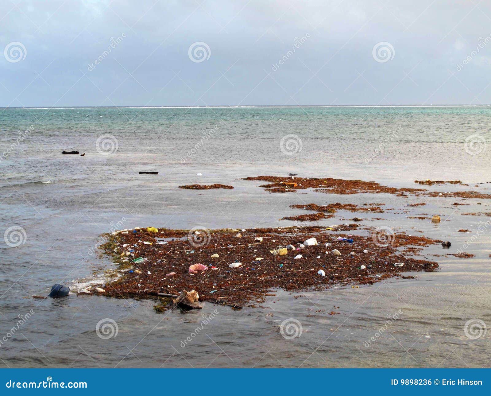 Pollution & Trash Floating Along the Shore Stock Photo - Image of ...