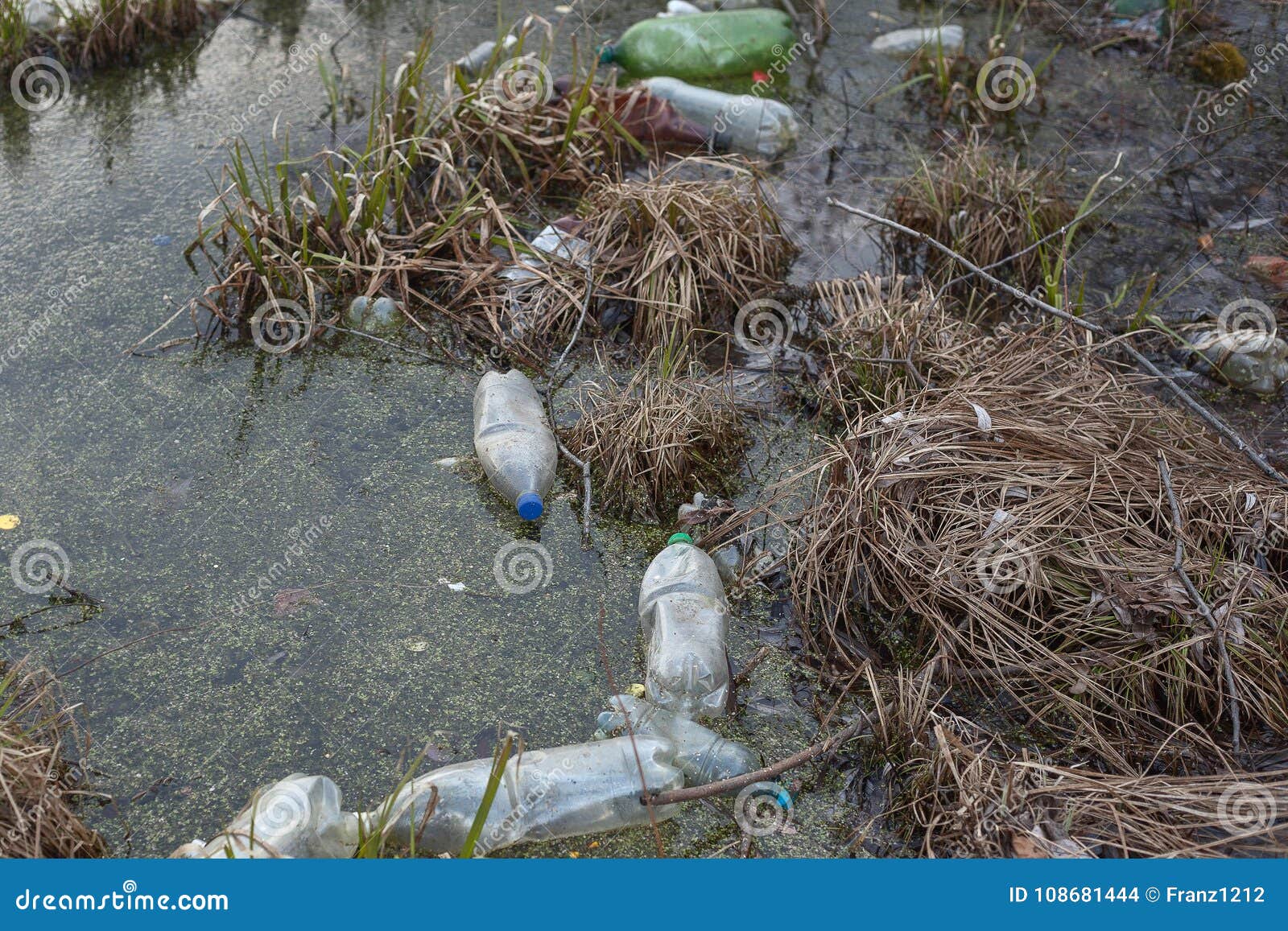 Pollution of Water Bodies. Ecological Problem Stock Photo - Image of ...