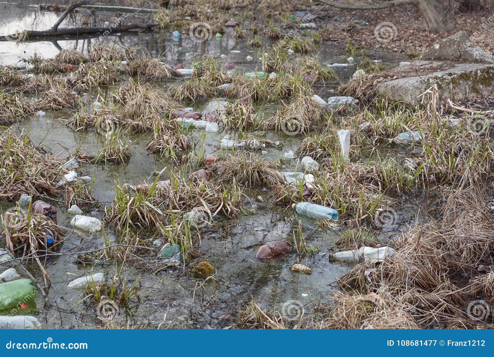 Pollution of Water Bodies. Ecological Problem Stock Image - Image of ...