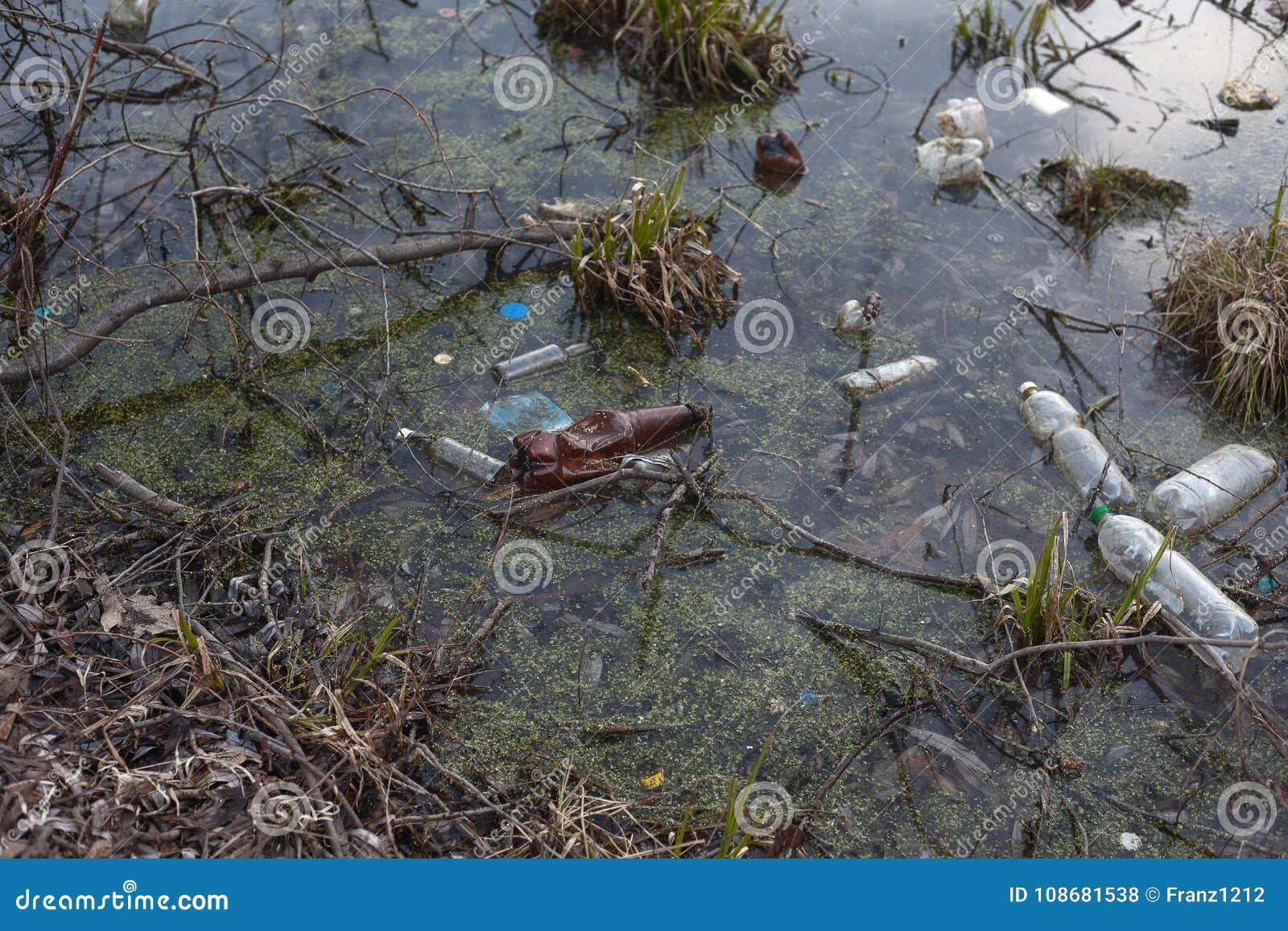 Pollution of Water Bodies. Ecological Problem Stock Photo - Image of ...