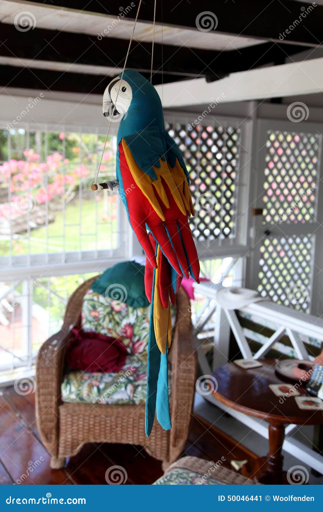 Polly el loro imagen de archivo. Imagen de rellenado - 50046441