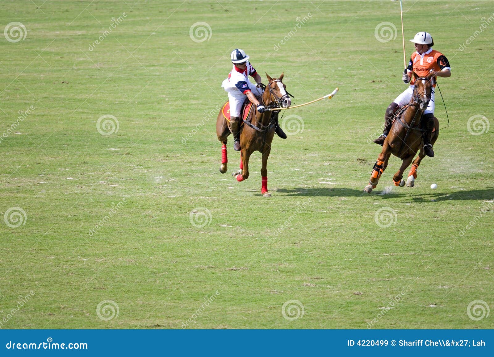 Polo redaktionelles stockbild. Bild von pferdeartig, aktiv - 4220499