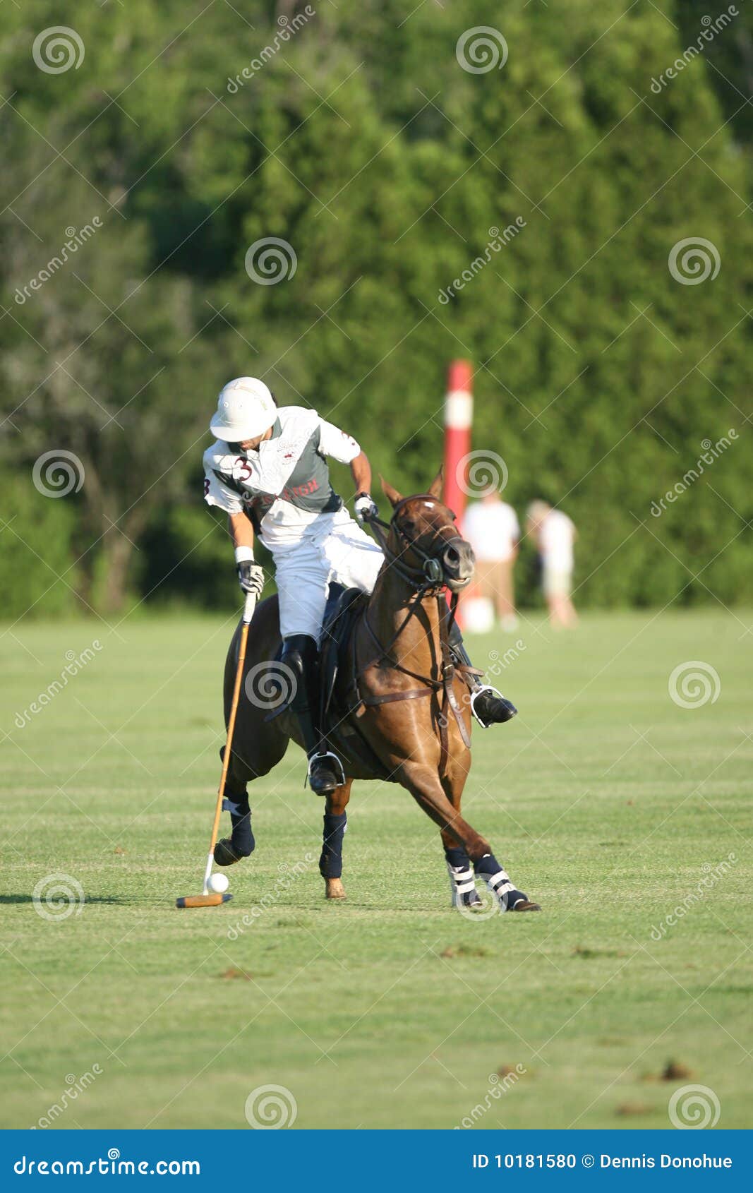 Polo Action at Saratoga Polo Editorial Image - Image of race, blinker ...