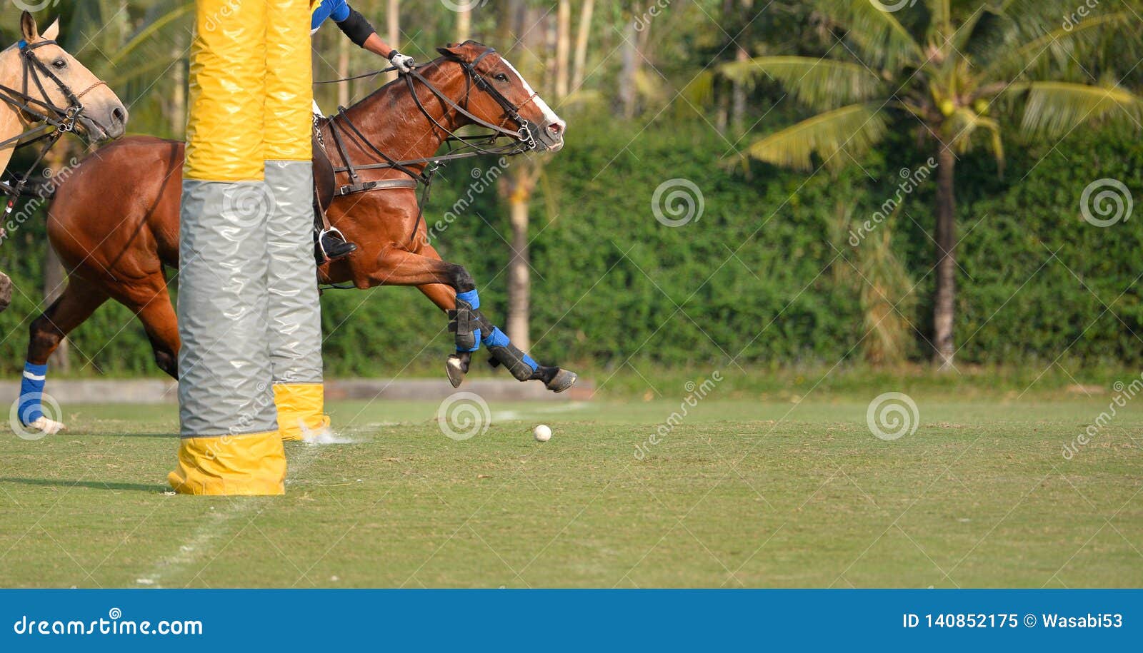 Polo Ball is Passing through the Polo Goal Stock Image - Image of club ...