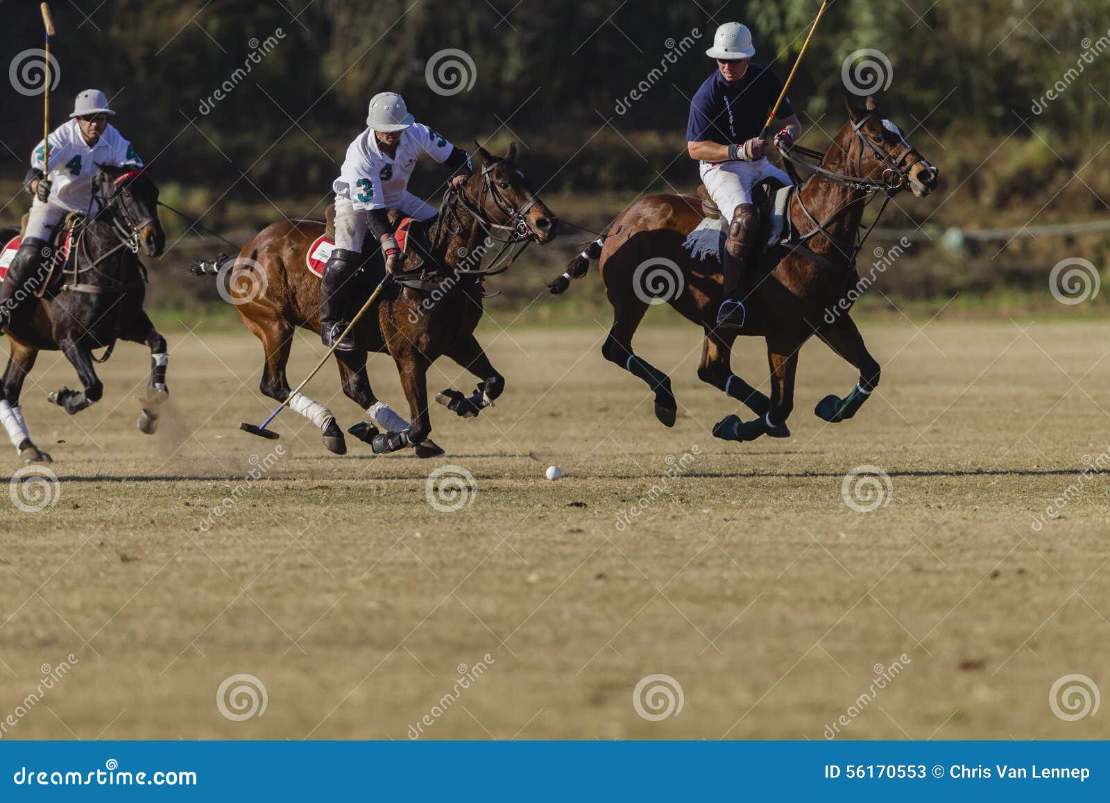 Polo Game Action fotografia stock editoriale. Immagine di africa - 56170553