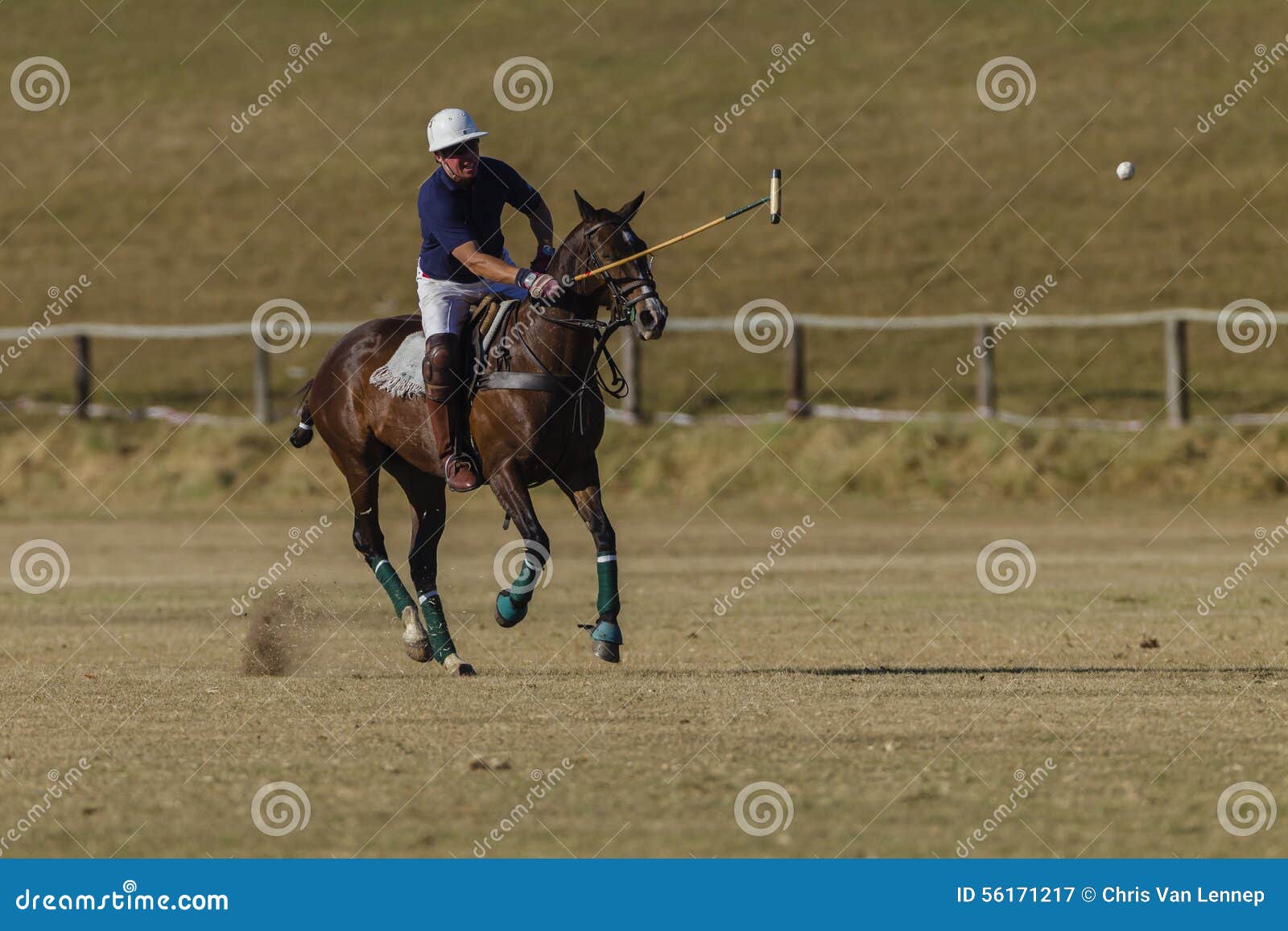 Polo Game Action fotografia editorial. Imagem de pônei - 56171217