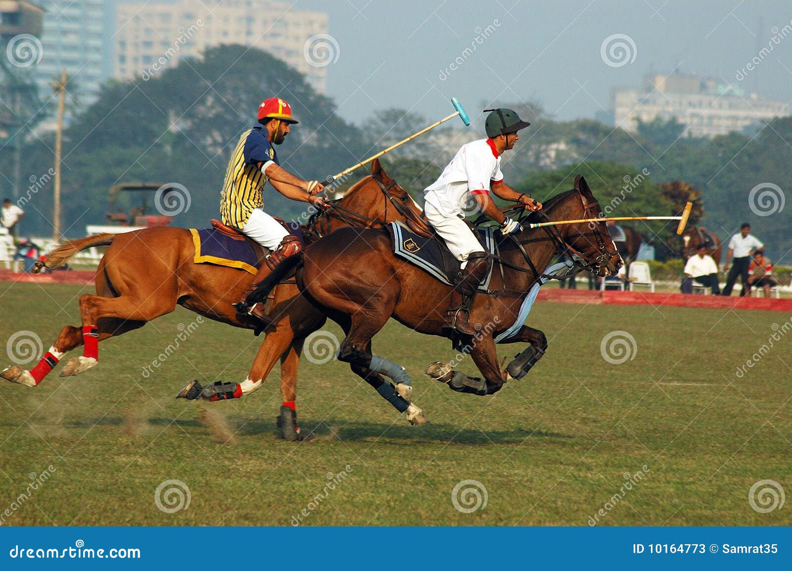 Polo Game of Kolkata-India editorial stock photo. Image of greenery ...
