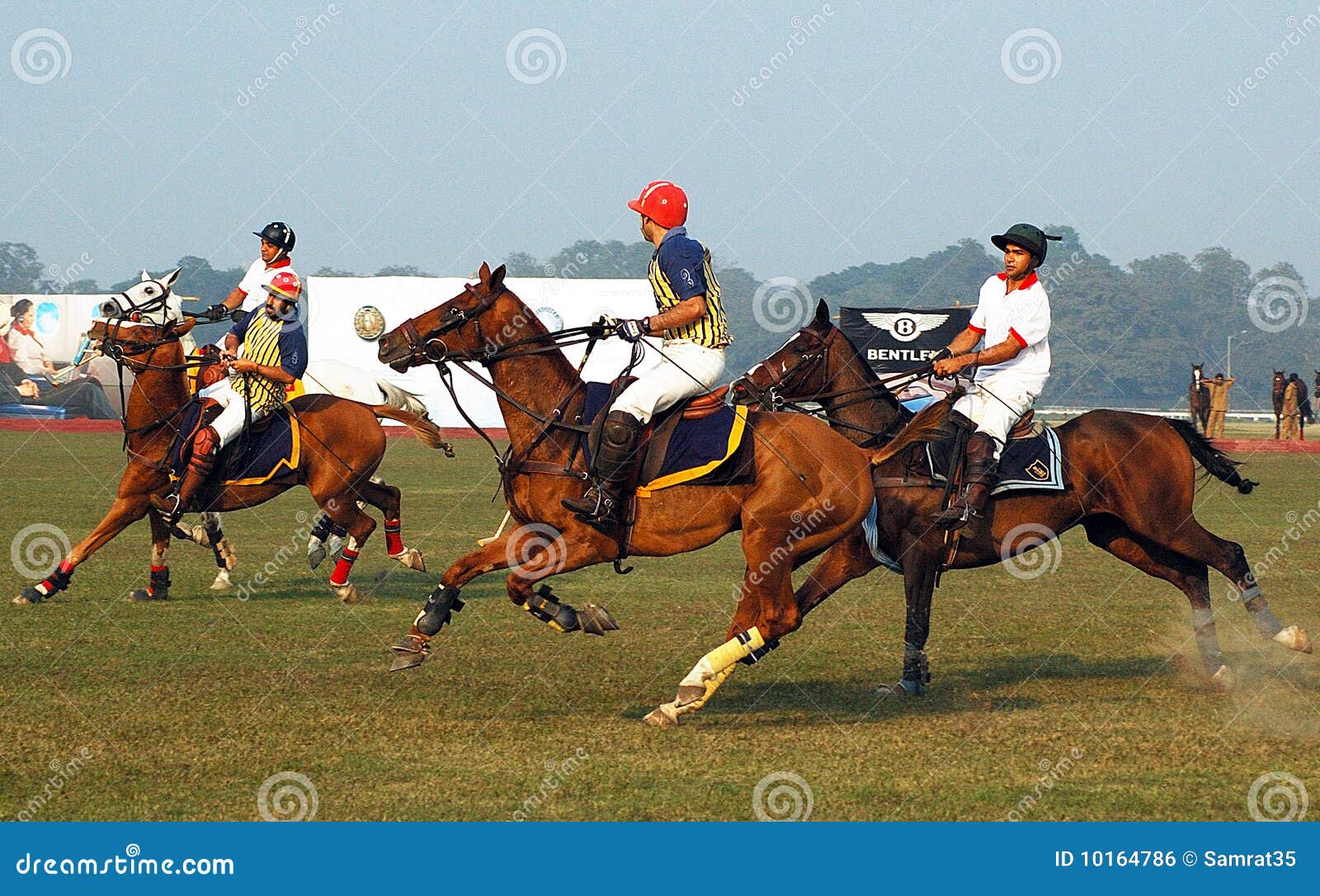 Polo Game of Kolkata-India editorial photo. Image of concentration ...