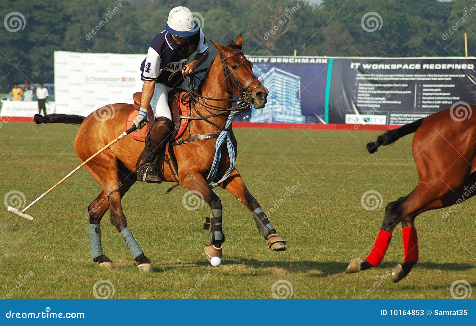 Polo Game of Kolkata-India editorial stock photo. Image of west - 10164853