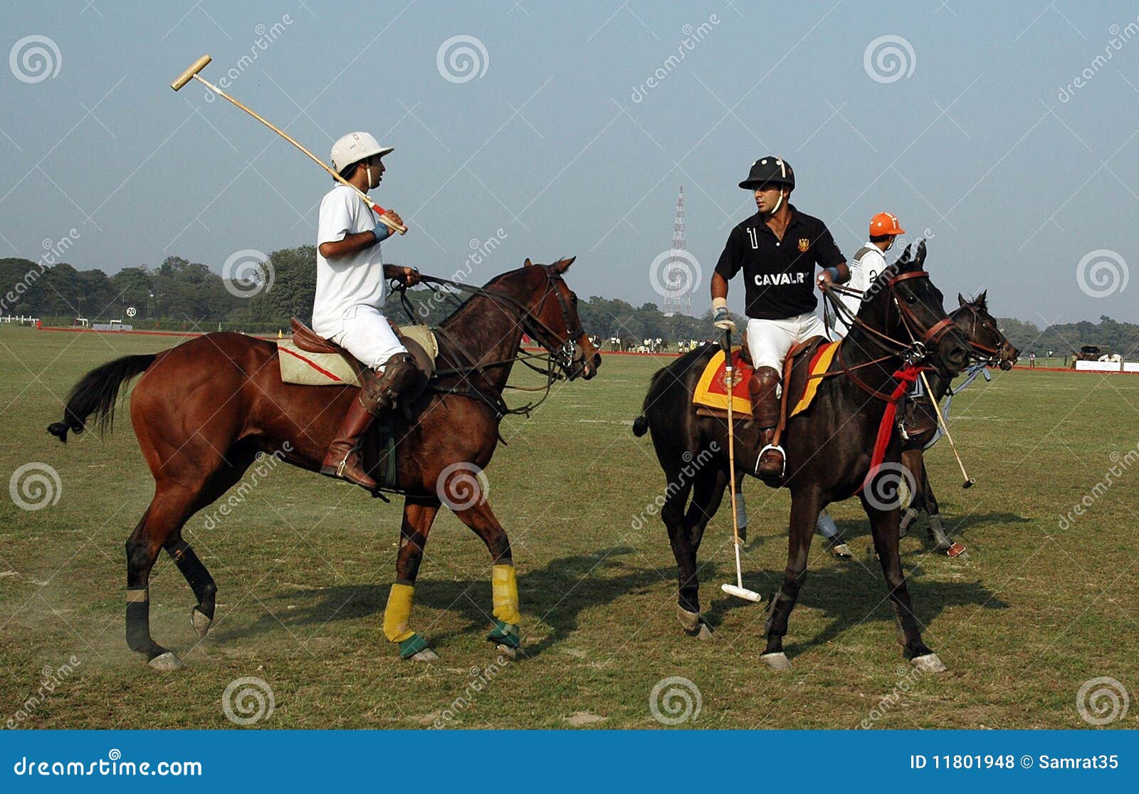 Polo game in Kolkata-India editorial stock photo. Image of west - 11801948