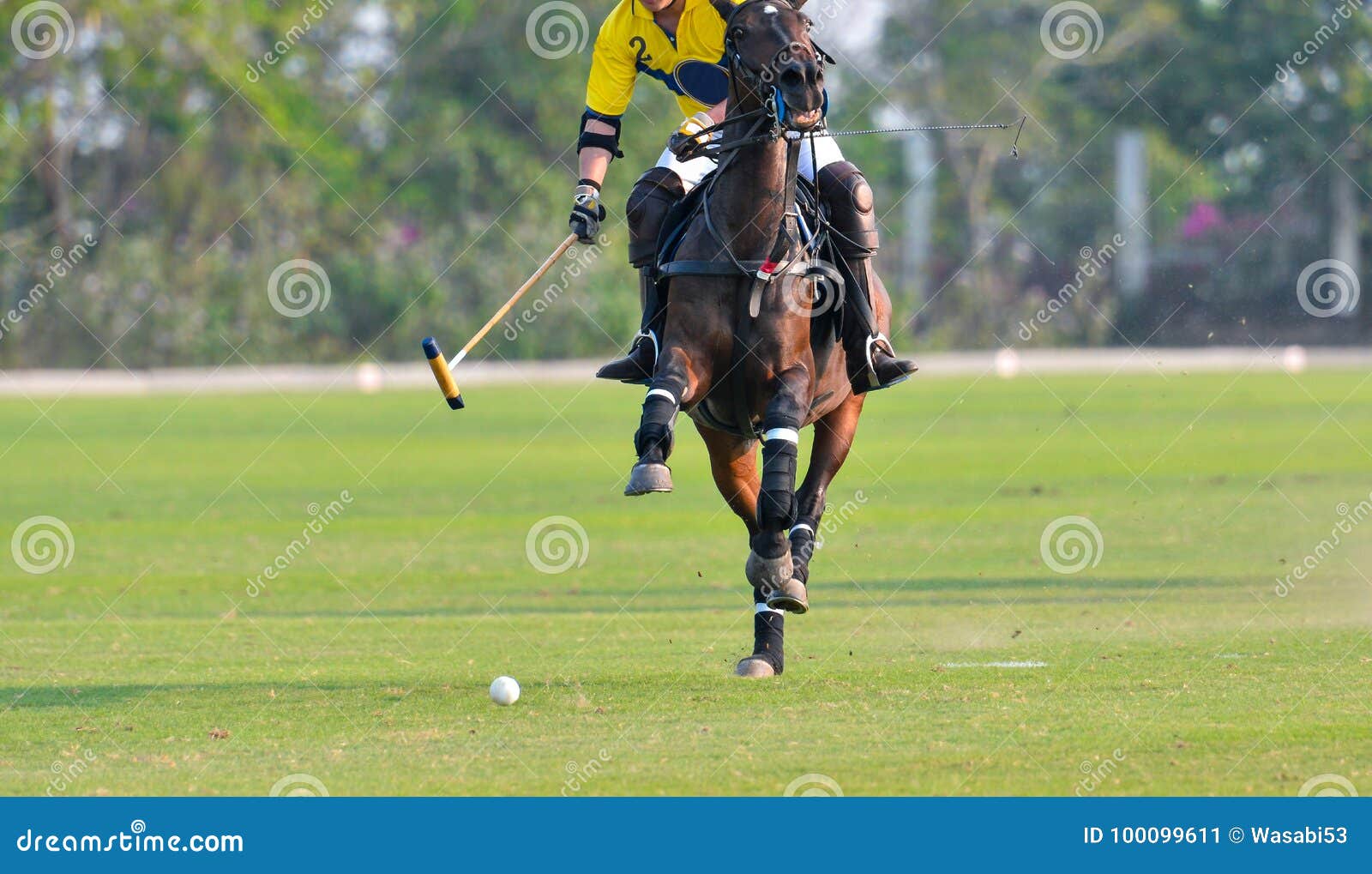 Polo Horse Player Riding foto editorial. Imagen de exterior - 100099611