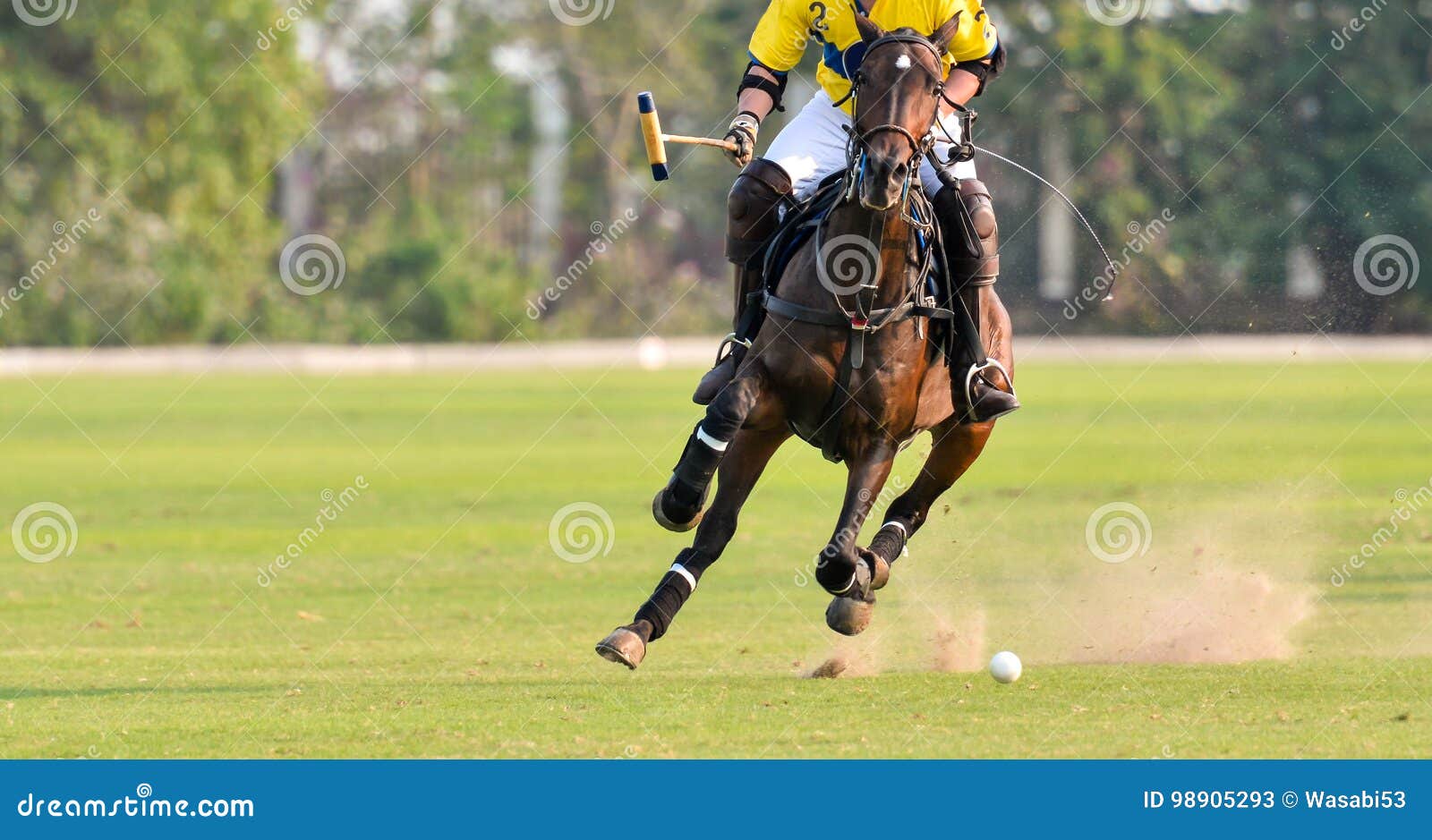 Polo Horse Player Riding fotografering för bildbyråer. Bild av utomhus ...