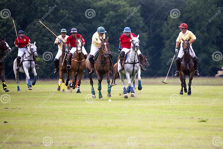 Polo Match editorial stock image. Image of pitch, driving - 20659444
