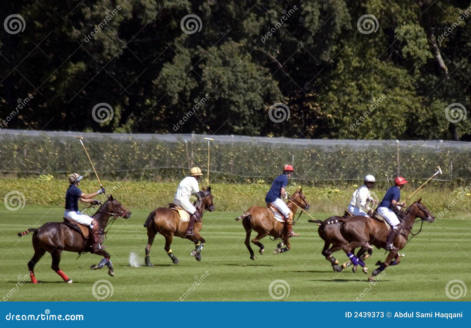 Polo match stock image. Image of balls, horseback, equestrians - 2439373