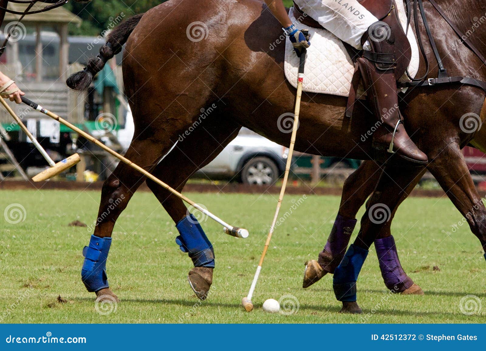 Polo Match stock foto. Image of laarzen, actie, spelen - 42512372