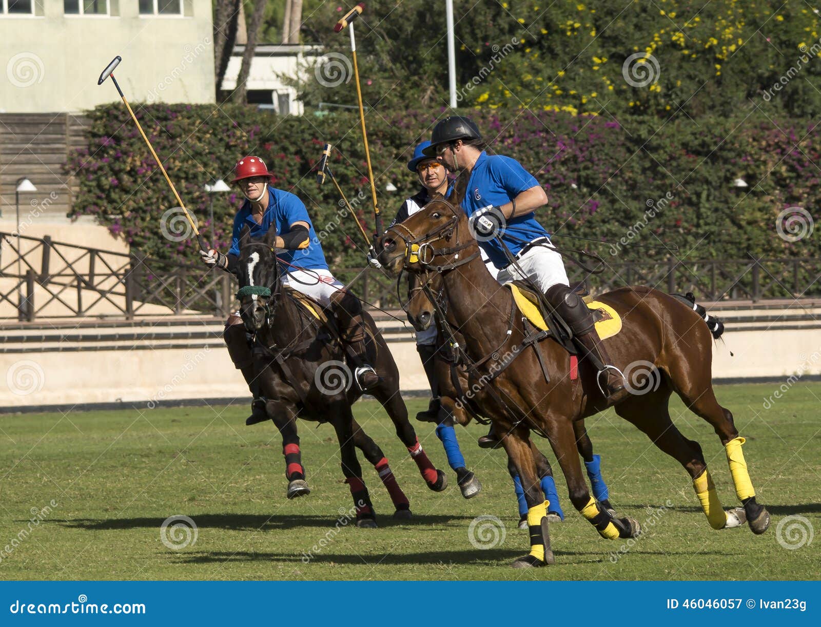 Polo Match redactionele fotografie. Image of spelen, gebeurtenis - 46046057