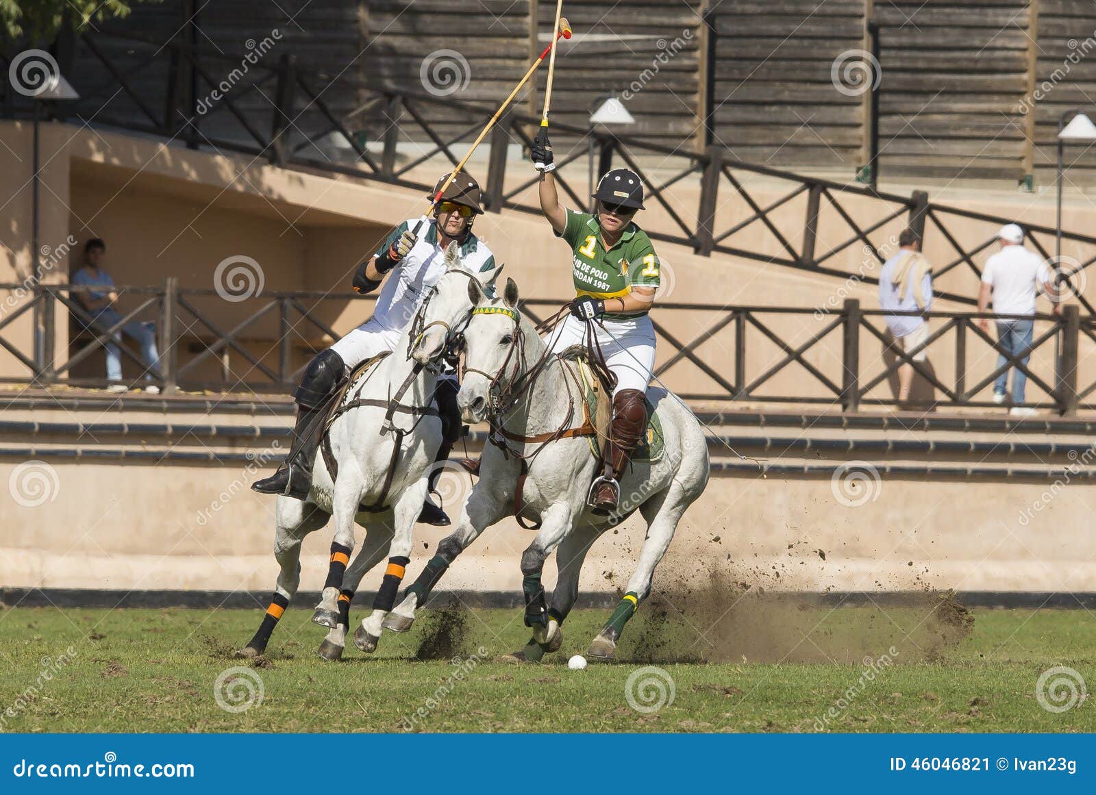 Polo Match redactionele foto. Image of mensen, gebeurtenis - 46046821