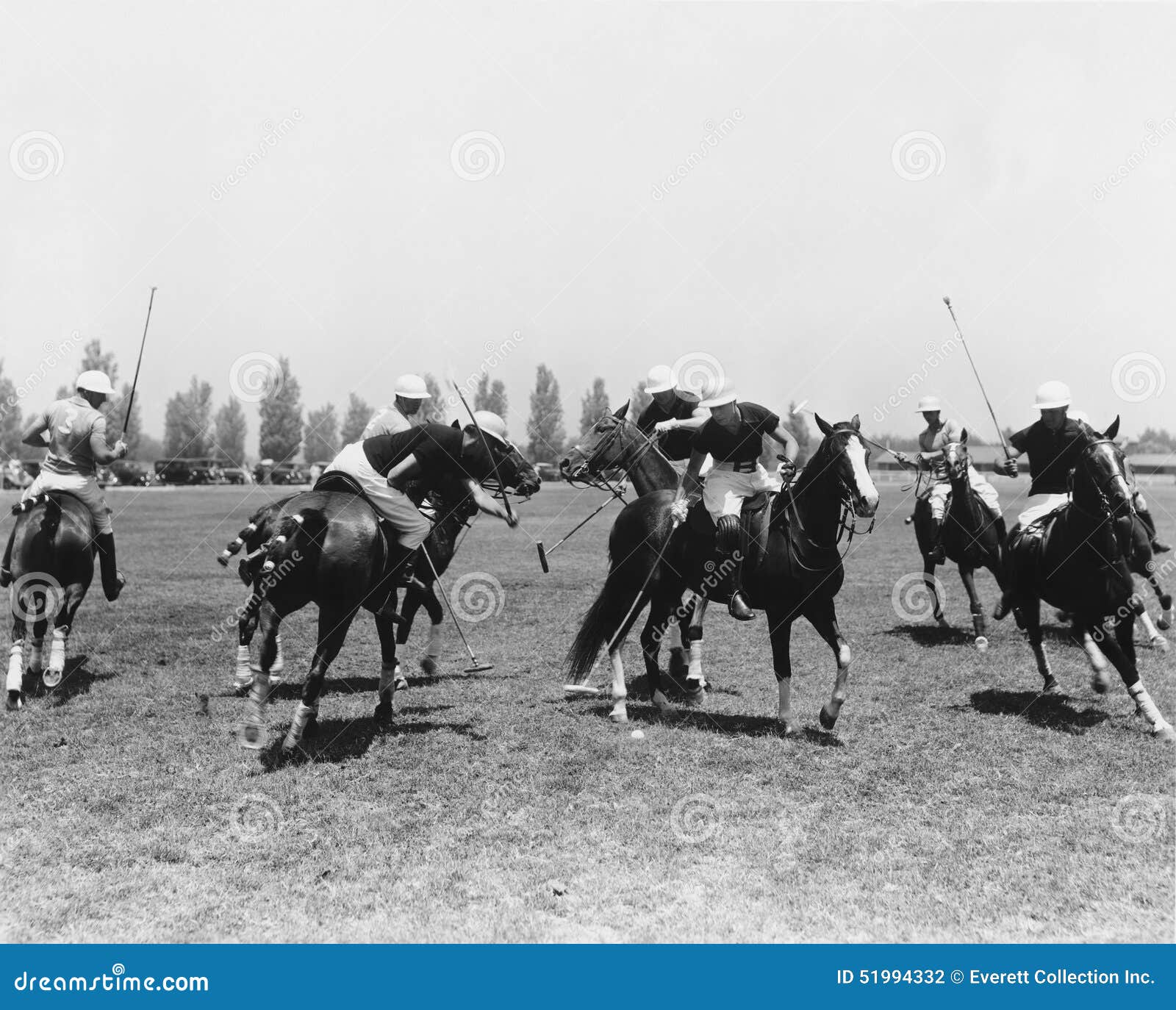 Polo Player Model Stock Photos - Free & Royalty-Free Stock Photos from ...