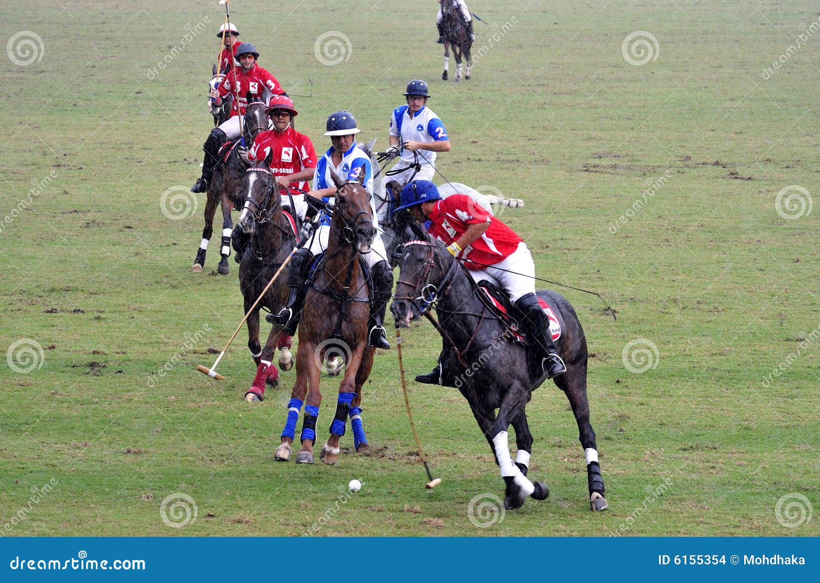 Polo Match editorial stock image. Image of goals, horseback - 6155354