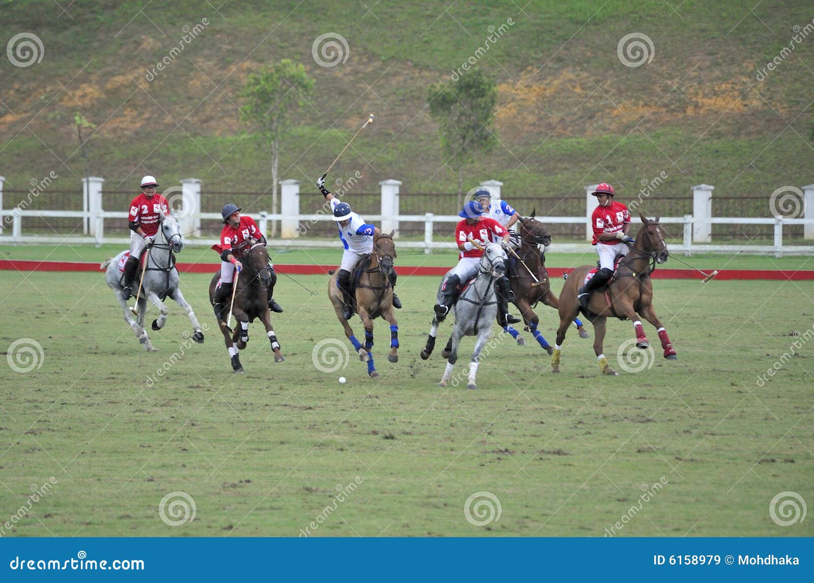Polo Match editorial stock image. Image of chukkas, jersey - 6158979