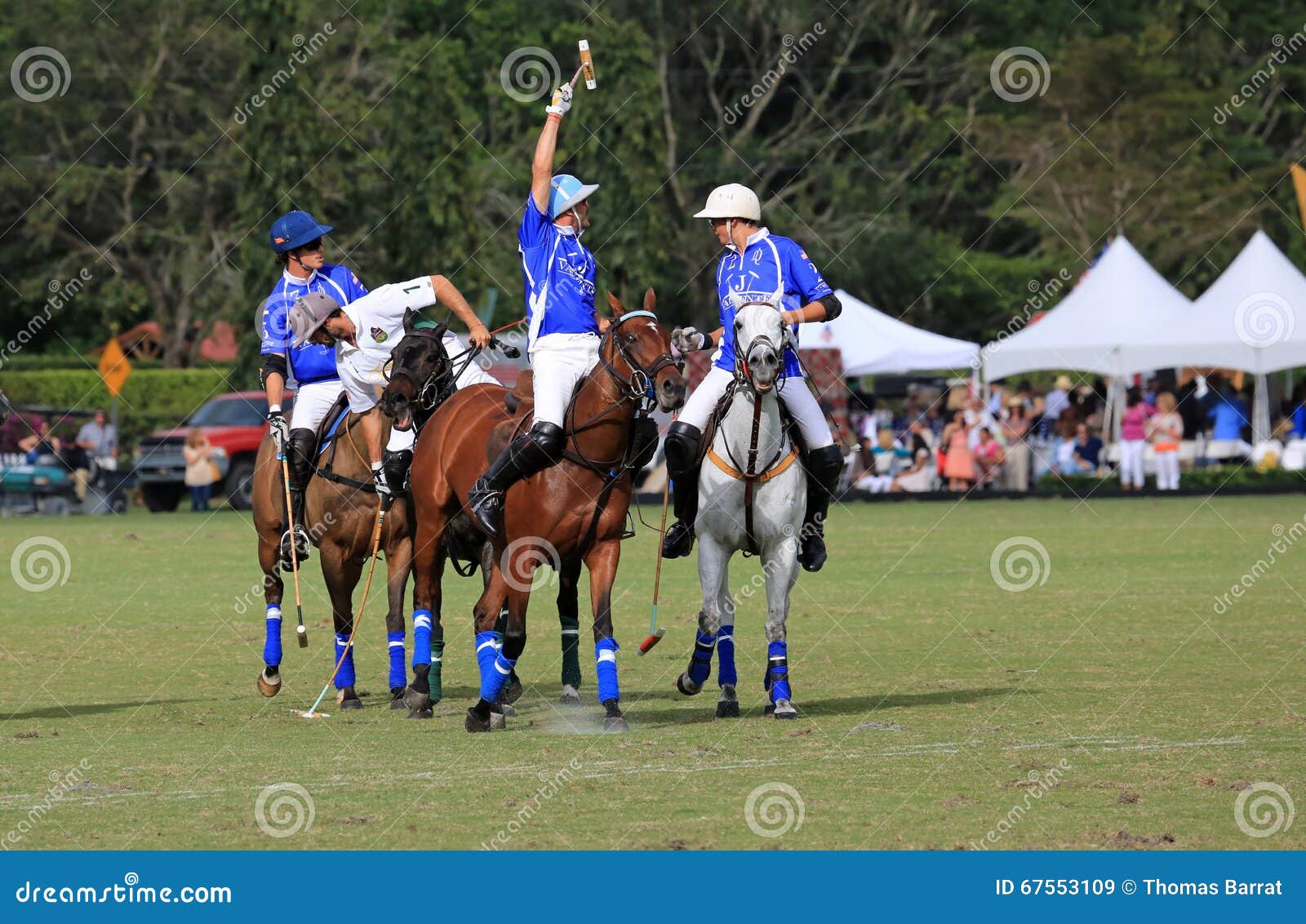 Polo Match redactionele stock afbeelding. Image of polo - 67553109