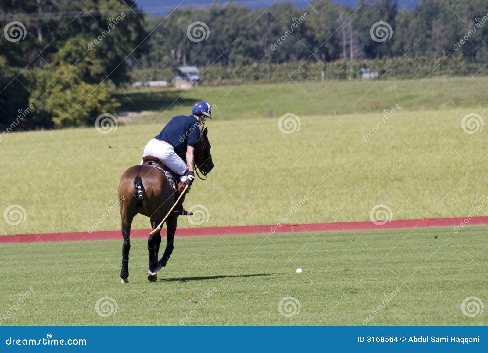 Polo player stock photo. Image of sport, stick, gallop - 3168564