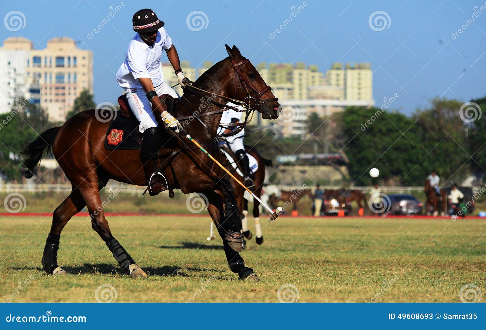 Polo Playing editorial stock photo. Image of holding - 49608693
