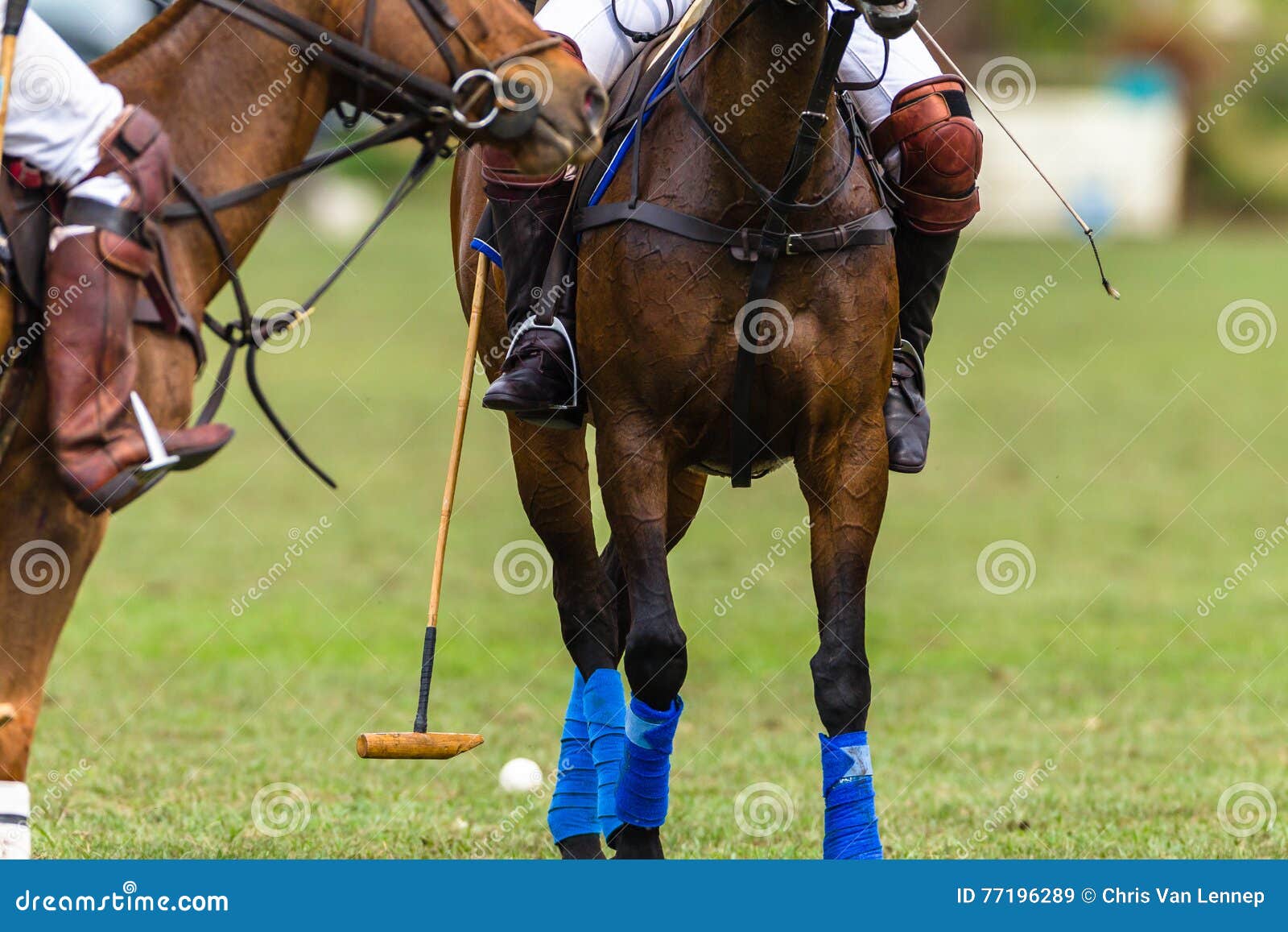 Polo Ponies Players Action stock image. Image of abstract - 77196289