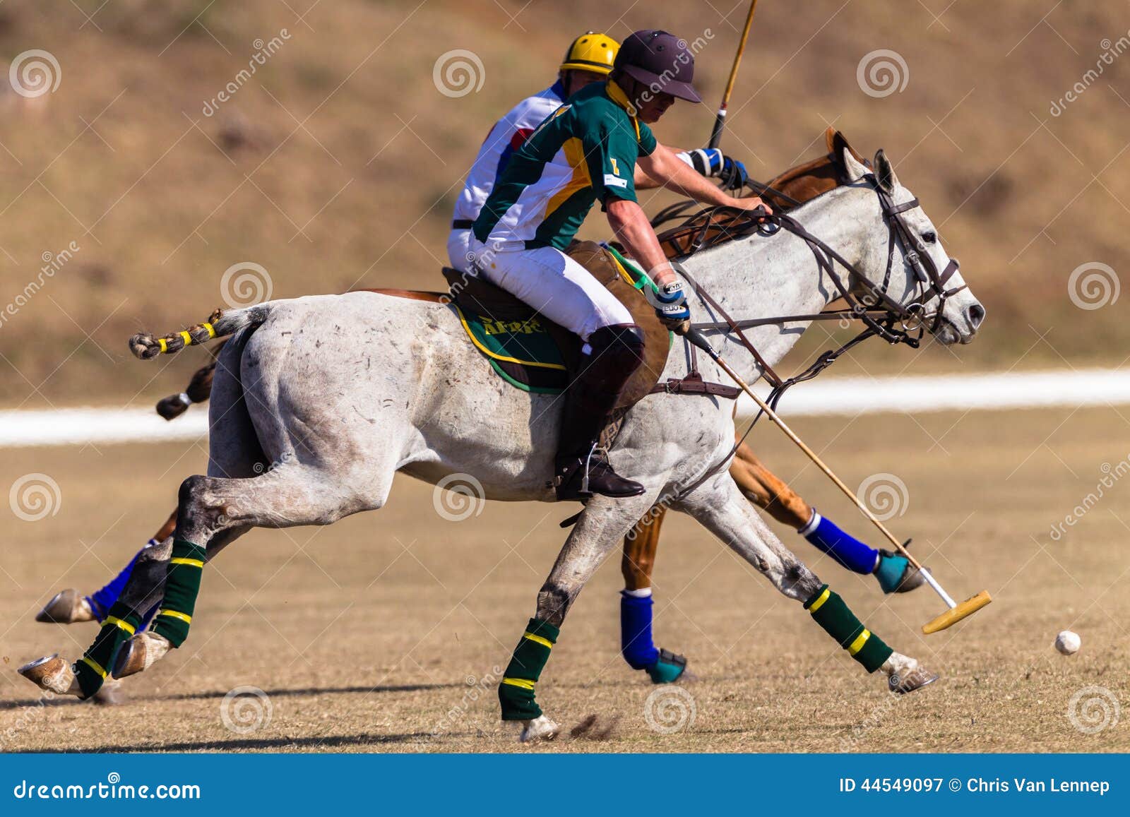 Polo Riders Horses Play Action Redactionele Fotografie - Image of ...