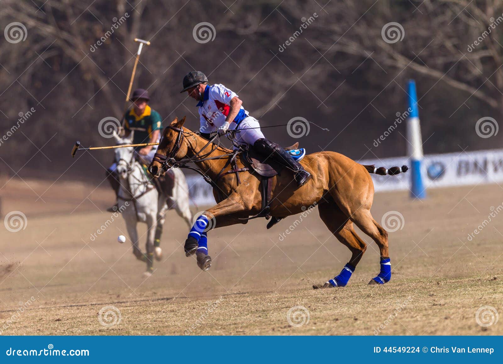 Polo Riders Horses Play Action Redactionele Stock Afbeelding - Image of ...