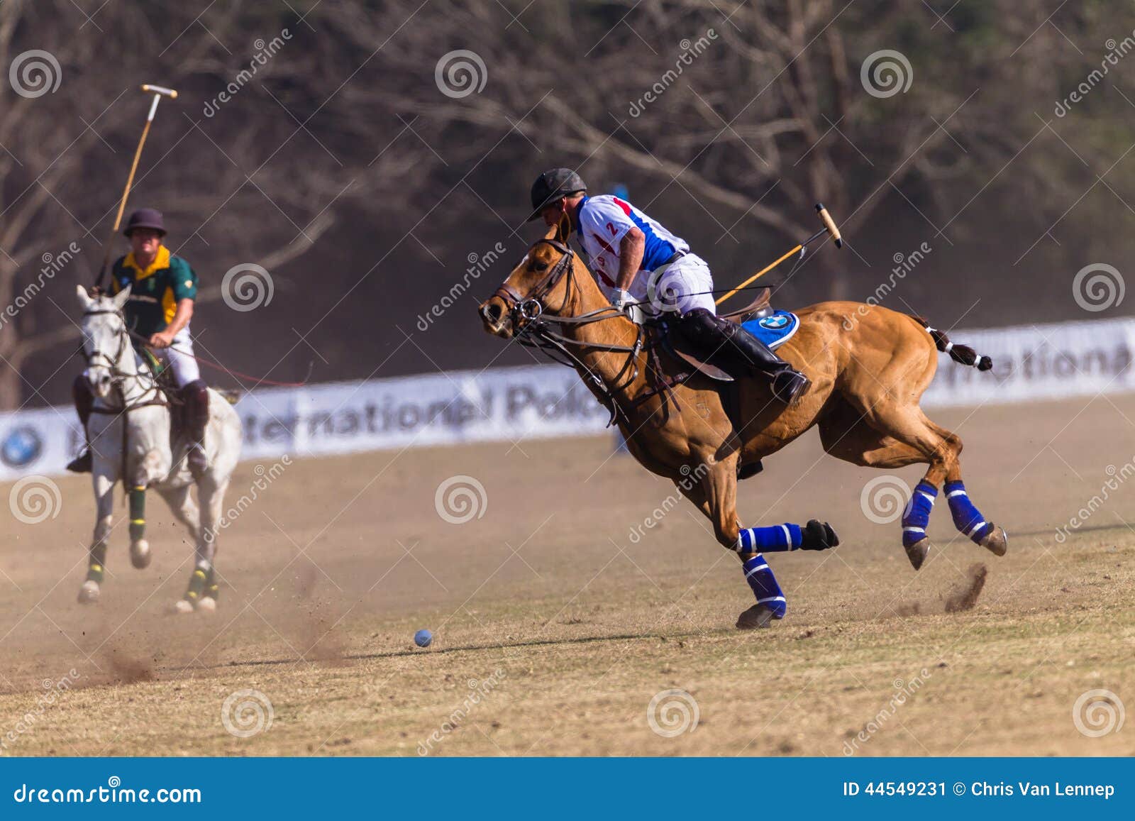 Polo Riders Horses Play Action Foto editorial - Imagen de jugadores ...