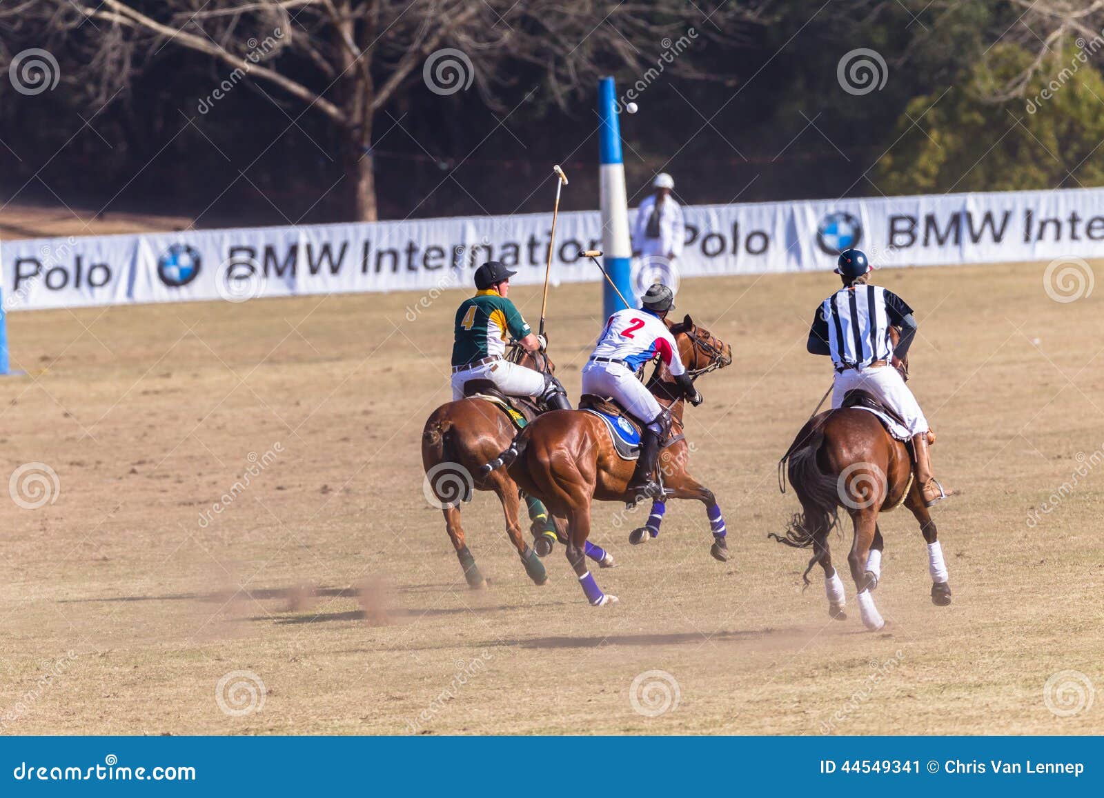 Polo Riders Horses Play Action Foto editorial - Imagen de hillerato ...