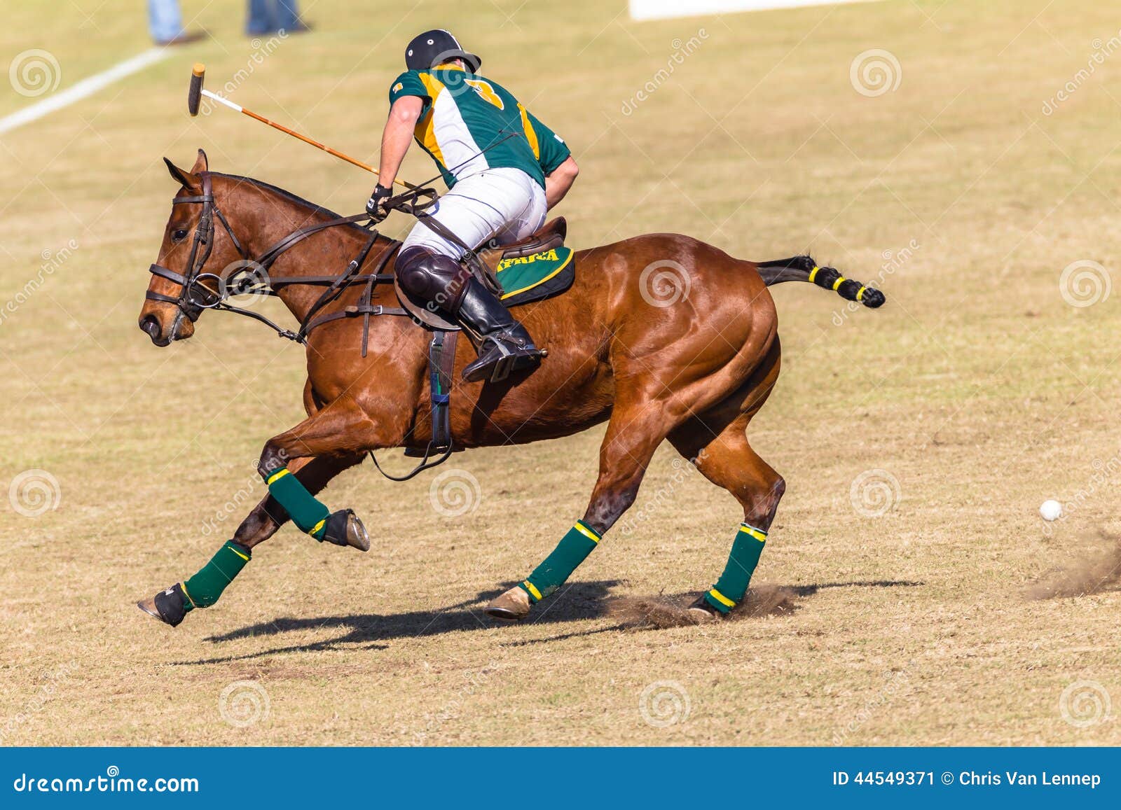 Polo Riders Horses Play Action Redactionele Foto - Image of zuiden ...