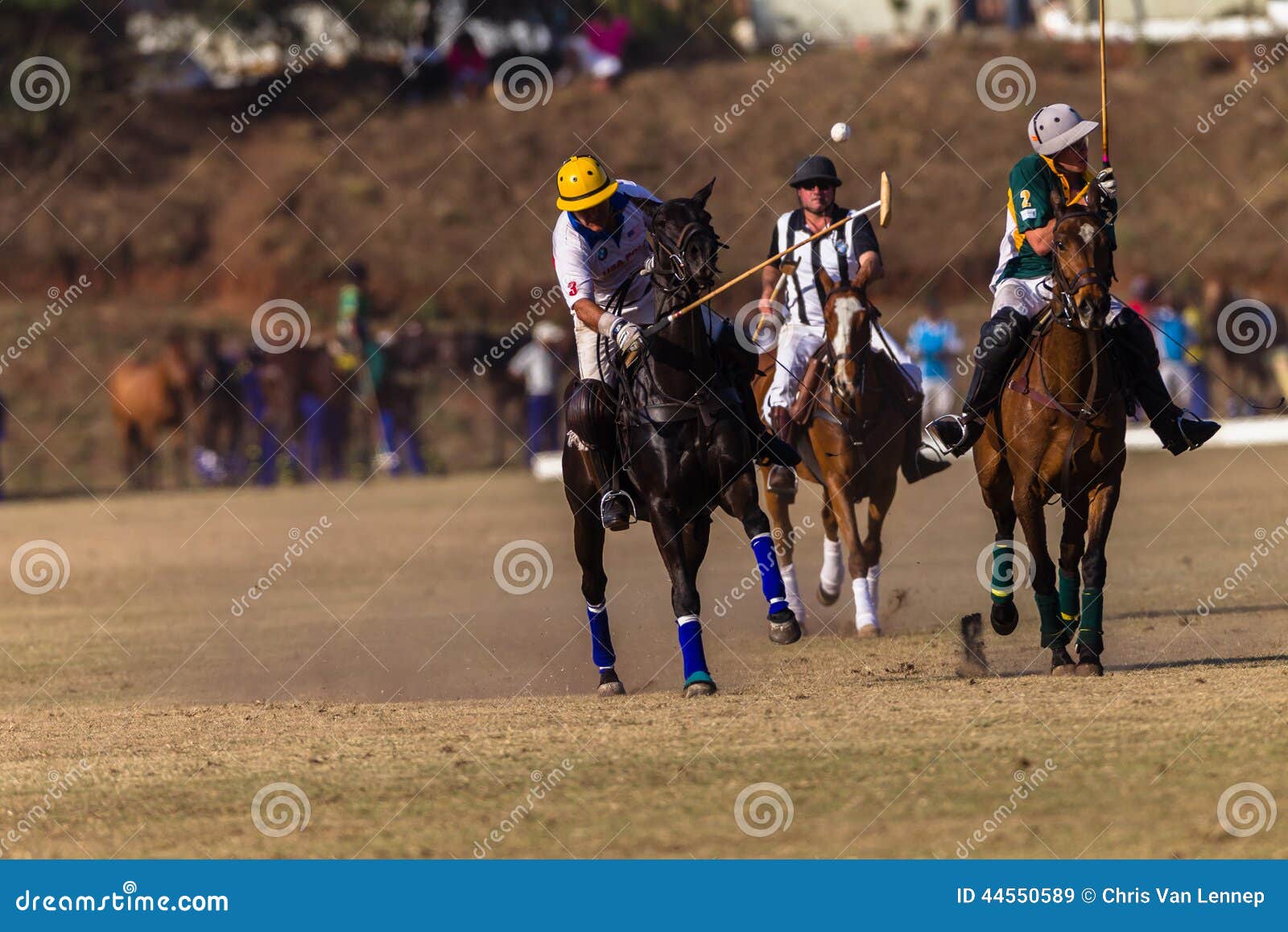 Polo Riders Horses Play Action Imagem de Stock Editorial - Imagem de ...