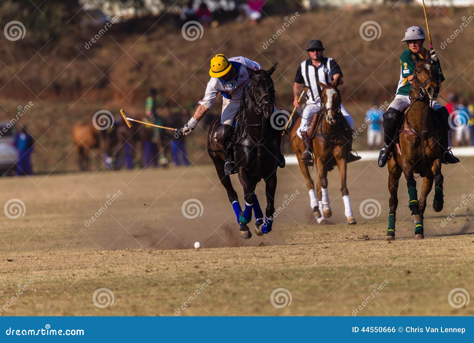 Polo Riders Horses Play Action Redaktionelles Foto - Bild von durban ...