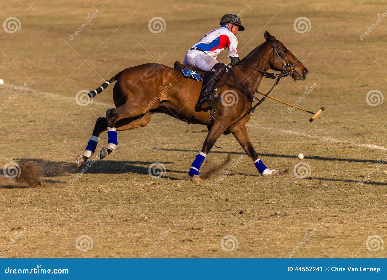 Polo Riders Horses Play Action Redaktionelles Foto - Bild von hillcrest ...