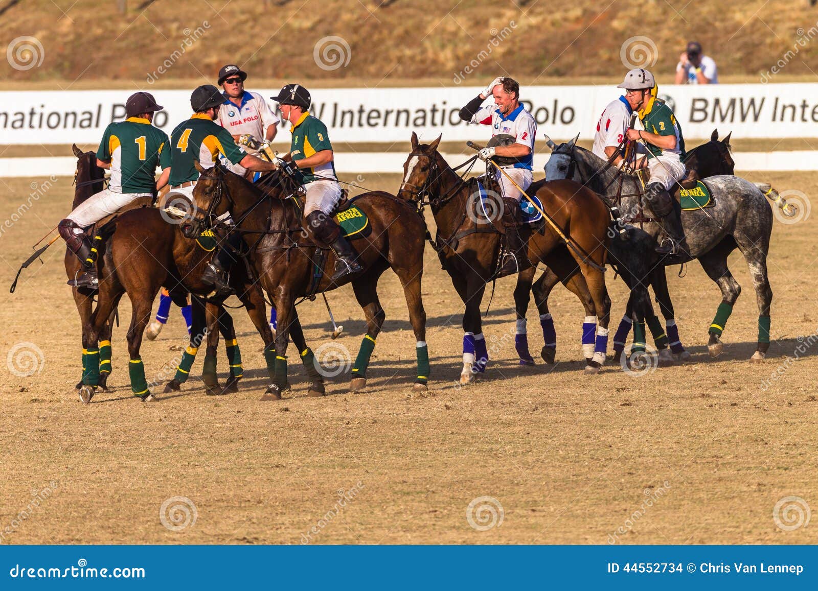 Polo Riders Horses Play Action Imagen de archivo editorial - Imagen de ...