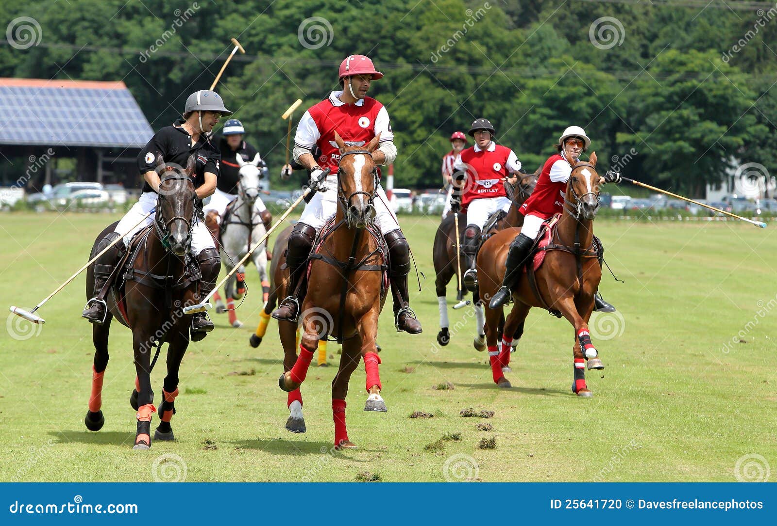 Polo Sports editorial image. Image of berenberg, hooves - 25641720