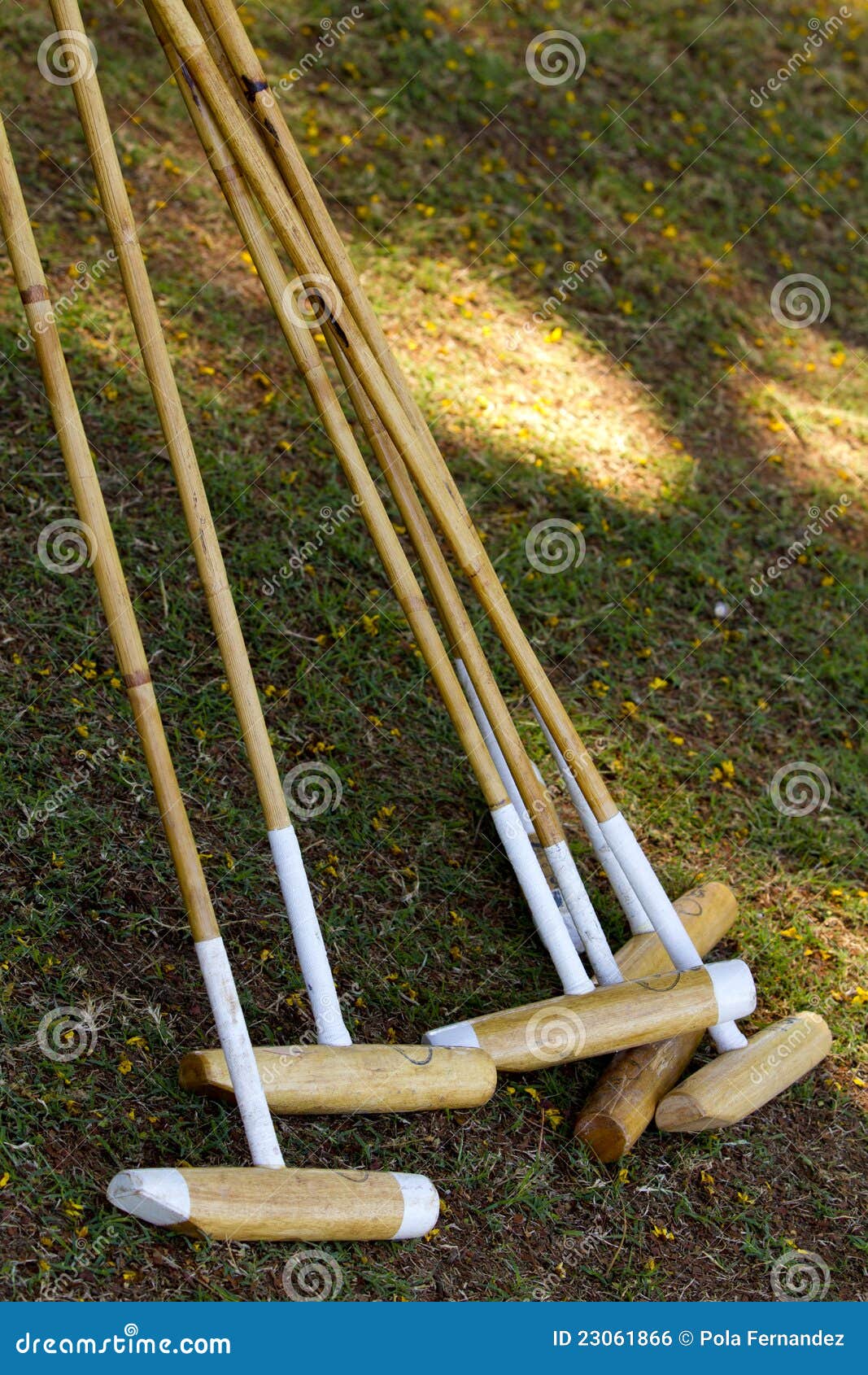 Polo sticks stock photo. Image of daylight, sticks, exibition - 23061866