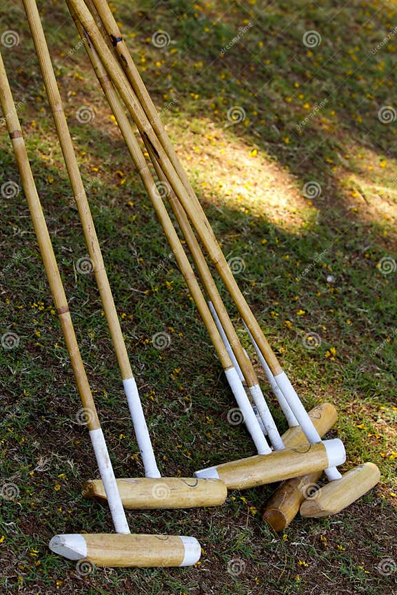 Polo sticks stock photo. Image of daylight, sticks, exibition - 23061866