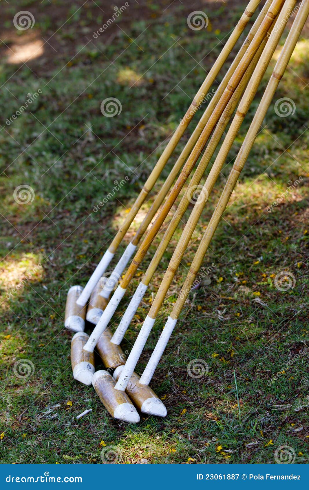 Polo Sticks Resting on Grass Floor Stock Image - Image of green ...
