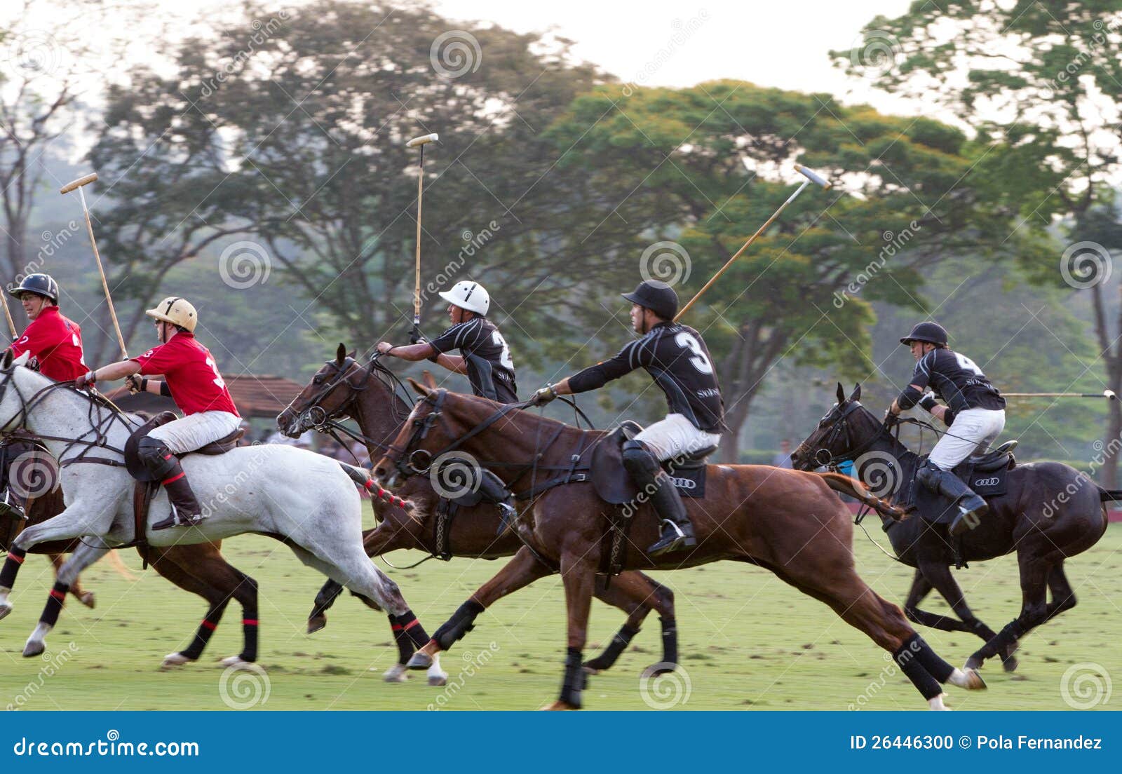 Polo Team in Brazil Playing Editorial Image - Image of green, club ...